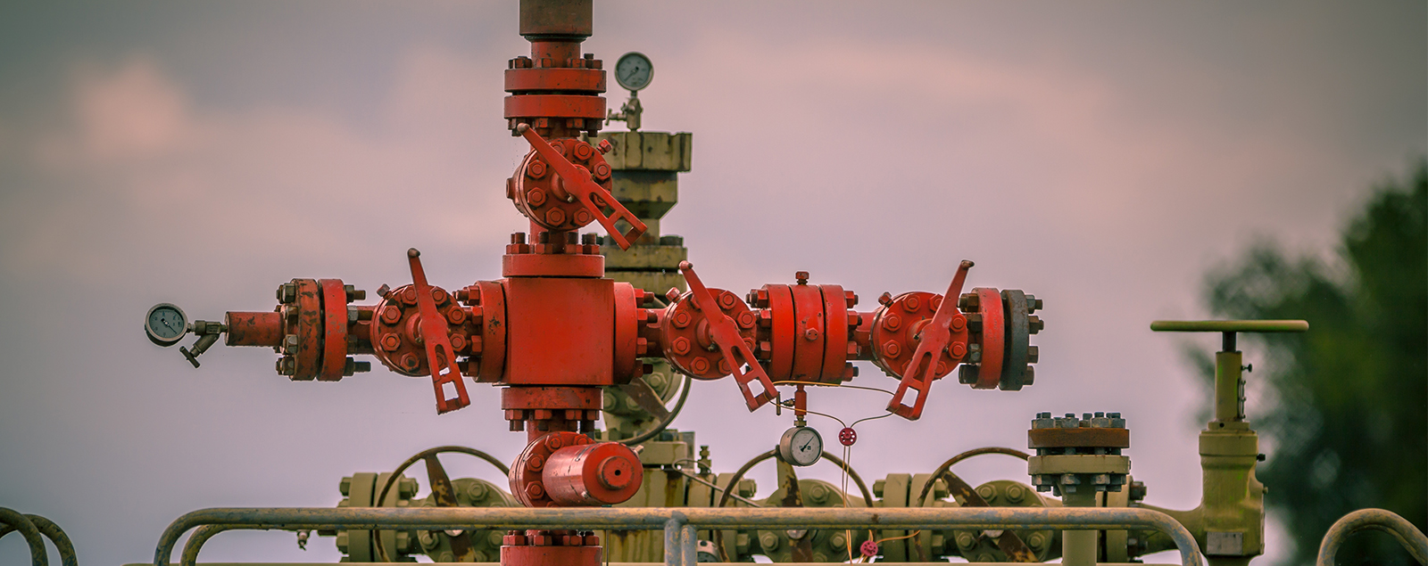 Home [www.vinsonprocess.com]